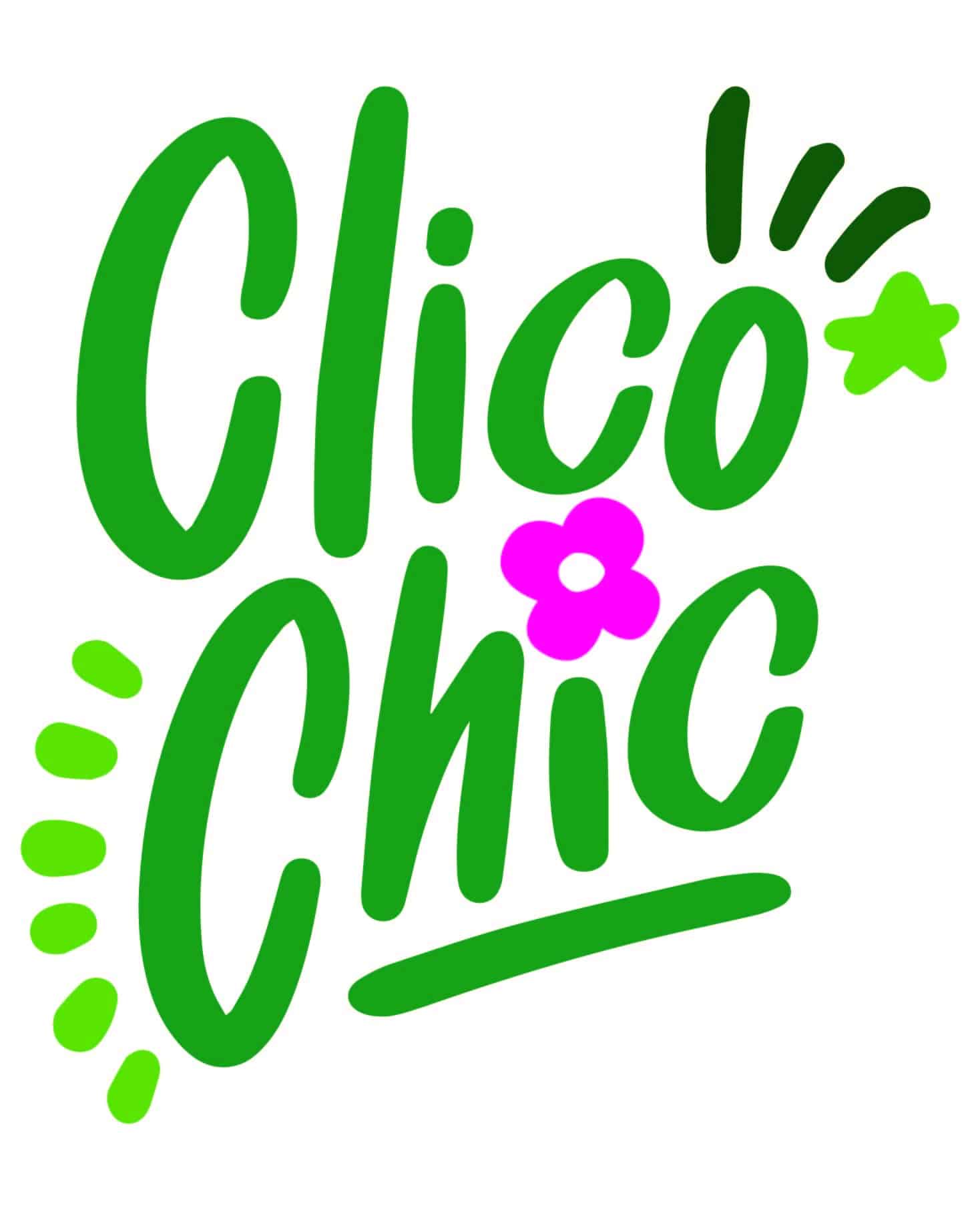 Pierre Houé, président de Capfun : « Nous lançons la marque Clico Chic ...