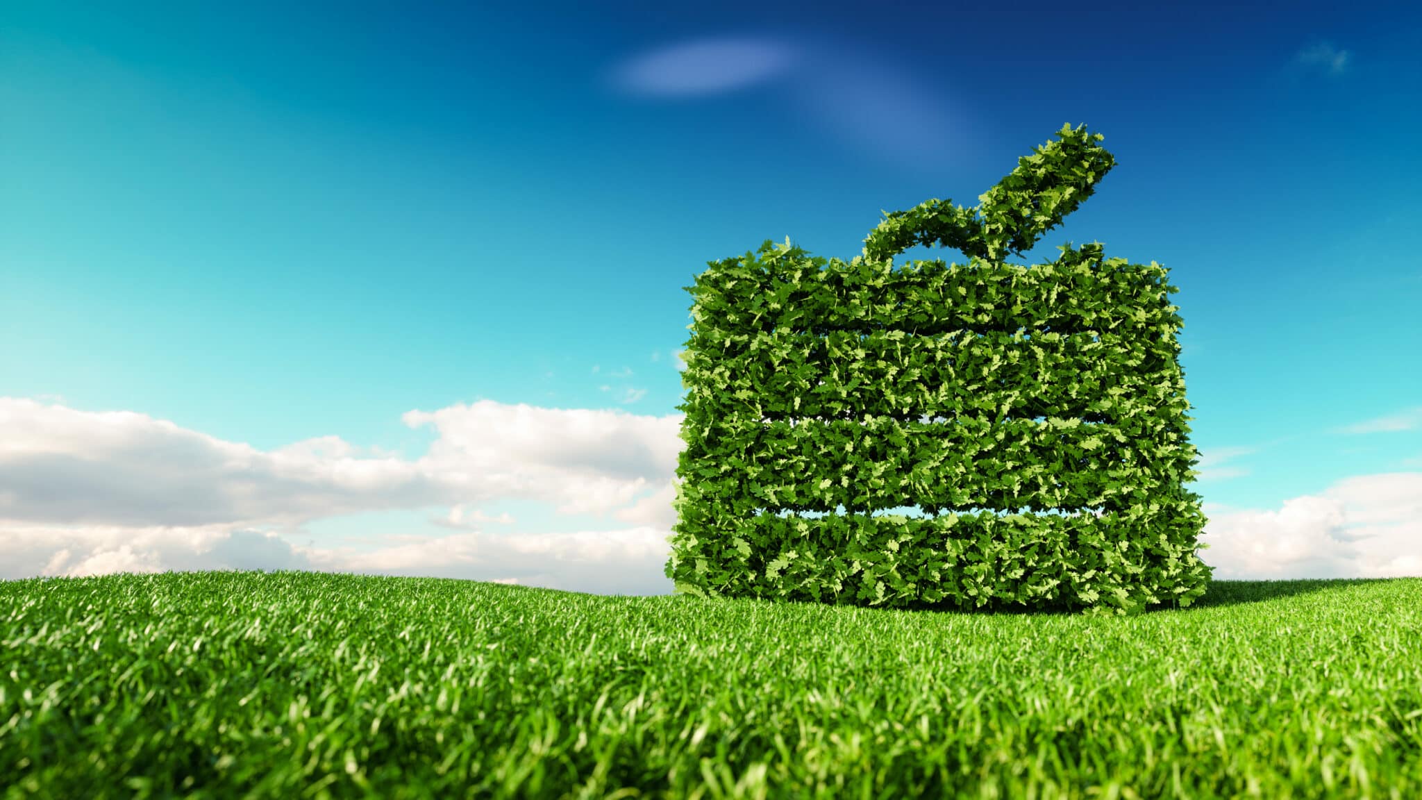 Les Français et le tourisme durable : Des pratiques encore timides - L ...